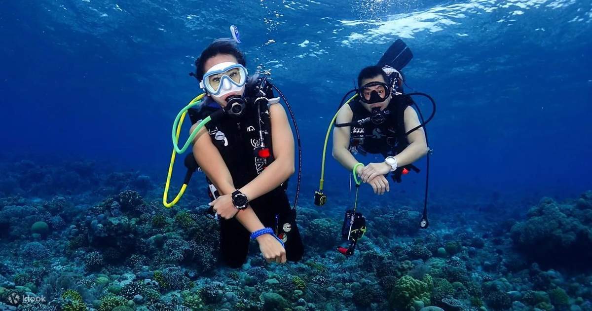 Pelajari Kursus Penyelam PADI OW di Jakarta | Pusat Menyelam PADI - Klook Indonesia